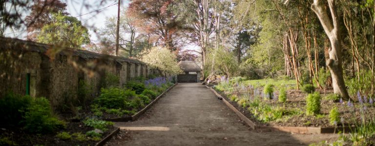 The Gardens – Enys